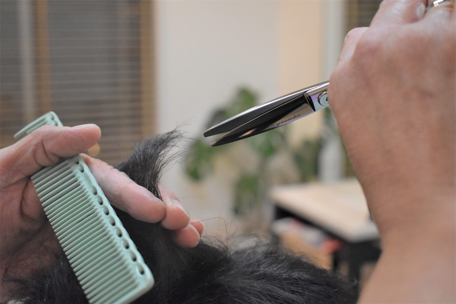 【入学式】オシャレをして入学式を迎えましょう | cook hair raise(レイズ)千葉市緑区おゆみ野|BARBER|理容室|床屋